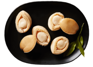 Aqunion - The home of premium quality South African abalone